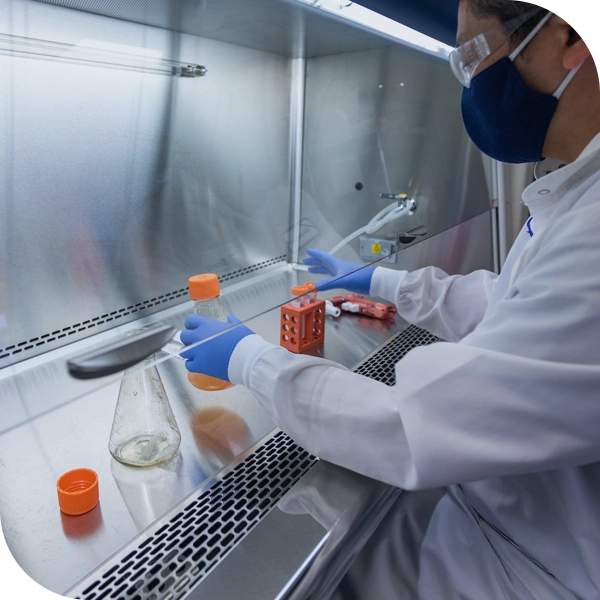 Cell Line Development - Bionova Scientific